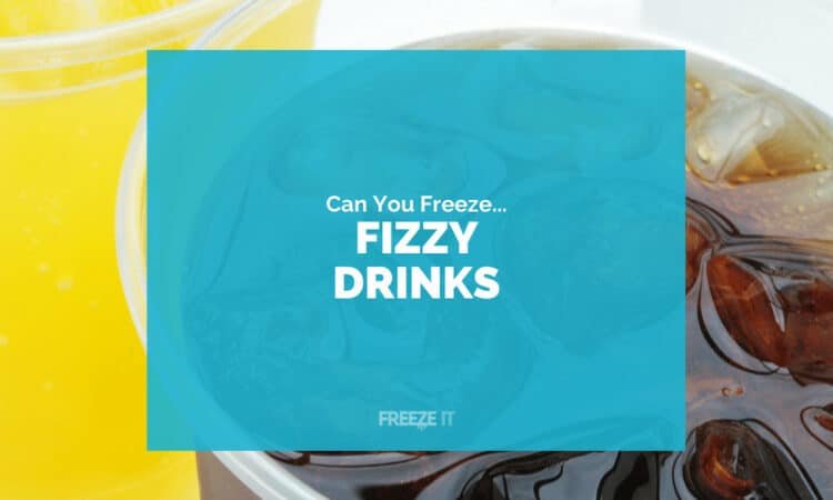 Can You Freeze KFC? Yes! Here's How... | Freeze It