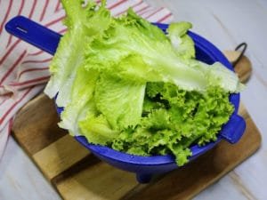 Can You Freeze Lettuce? [3 VITAL Tips] | Freeze It