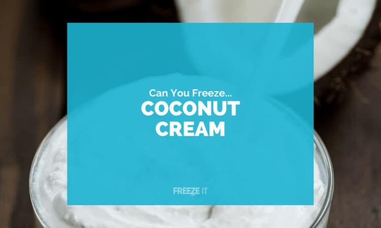 Can You Freeze Single Cream? [3 Must-Read Tips] | Freeze It