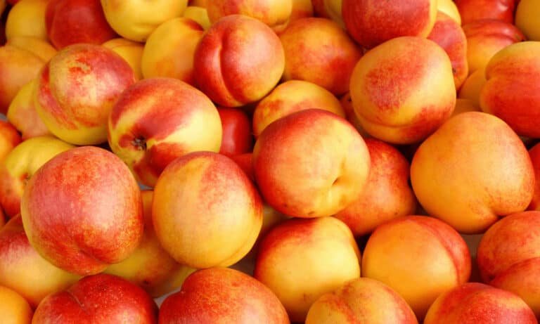 Can You Freeze Nectarines? Yes! Here's How... | Freeze It