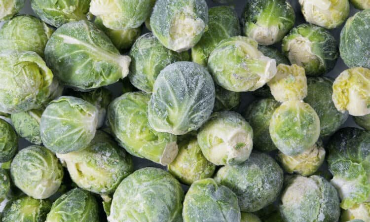 Can You Freeze Brussel Sprouts? Yes! Here's How... | Freeze It