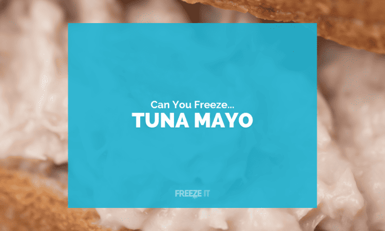 Can You Freeze Tuna Mayo? Yes! Here's How... | Freeze It