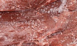 What is Freezer Burn? (+ How to Prevent It) | Freeze It