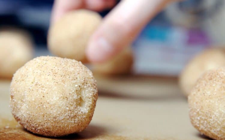 Can You Freeze Snickerdoodles? Yes! Here's How... | Freeze It